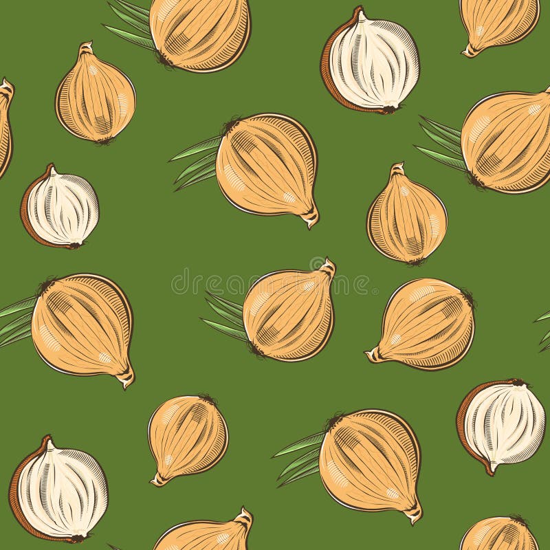 Seamless Pattern with Onion on a Green Background in Vintage Style ...