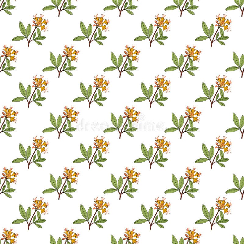 Seamless Pattern with Orange Azalea Stock Vector - Illustration of ...