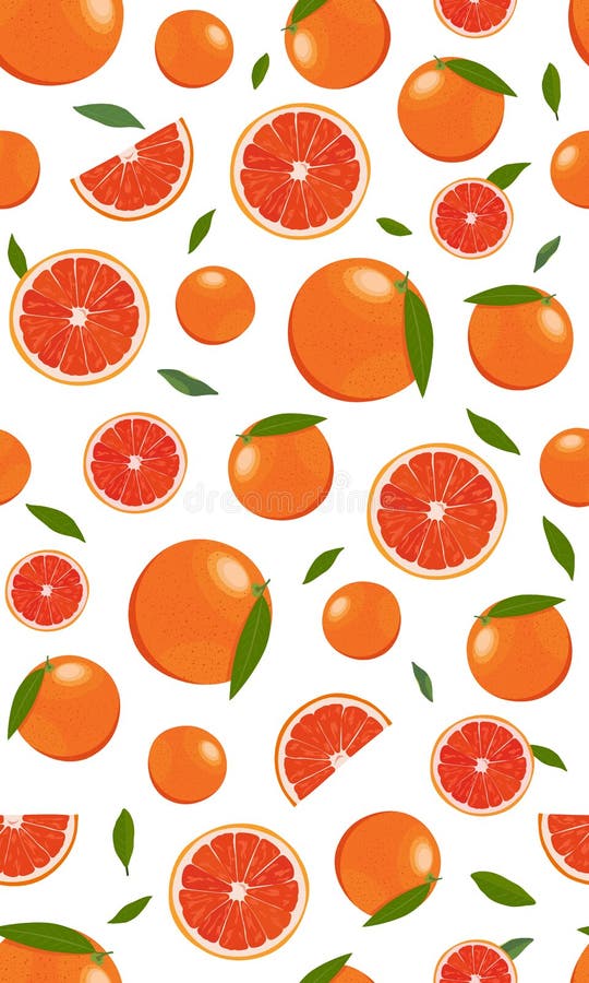 Orange Slice White Vector Stock Illustrations – 25,746 Orange Slice White Vector Stock ...