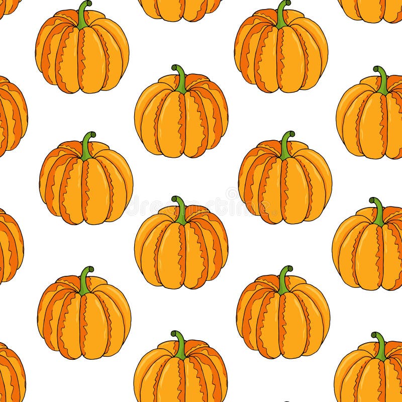 Seamless Pattern from Orange Pumpkin. White Background. Hand Drawing ...