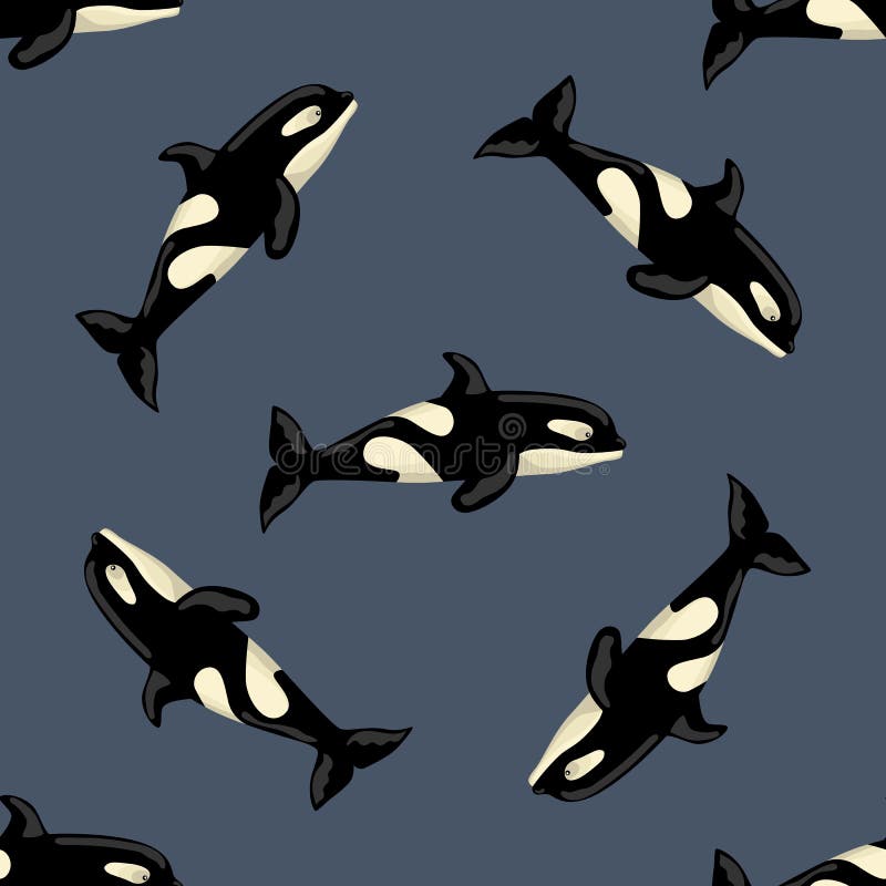 Seamless Pattern Orca on Dark Background. Template of Cartoon Character ...