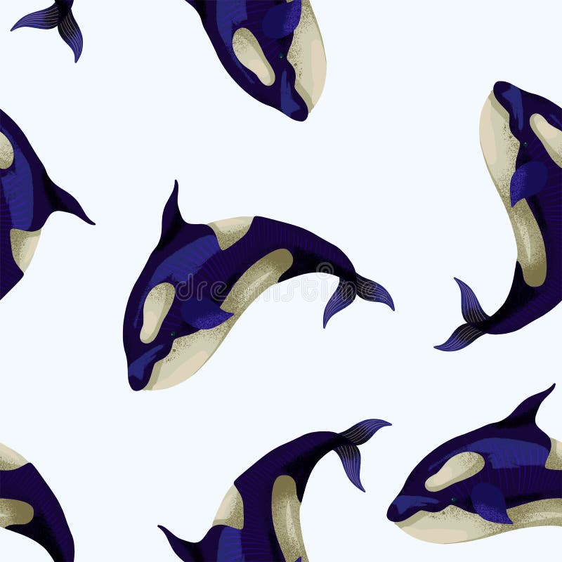 Seamless Pattern with Orca. Vector. Stock Vector - Illustration of ...