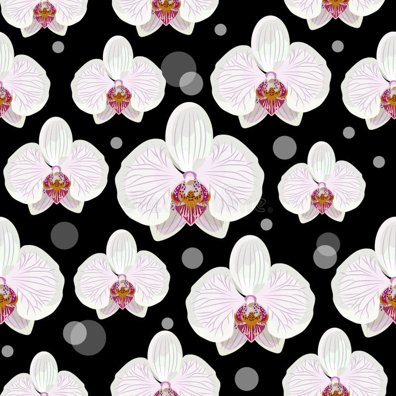 Seamless Pattern with Orchid Flowers Stock Vector - Illustration of ...