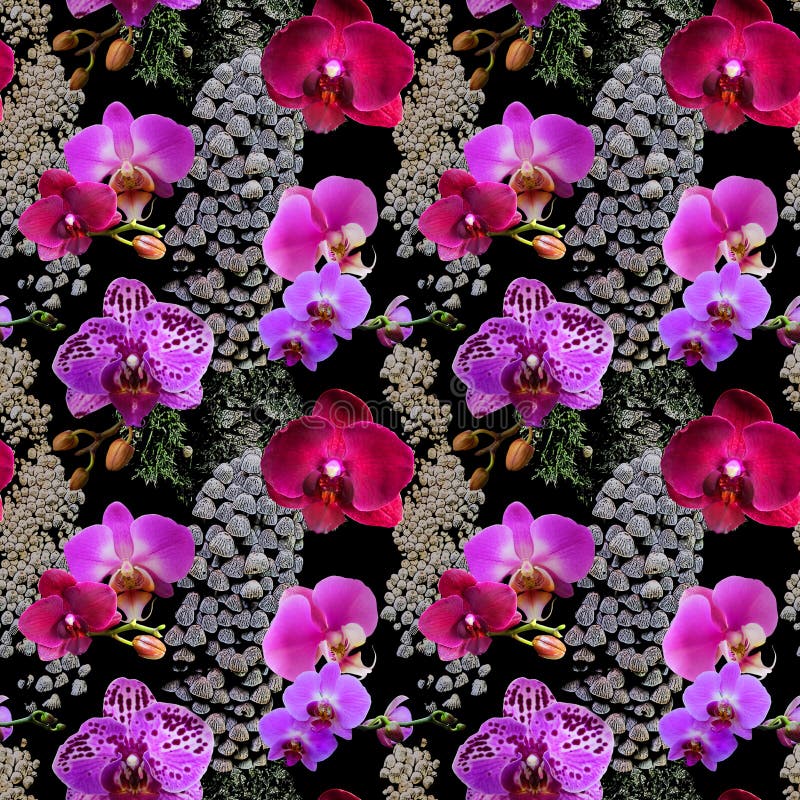 Seamless Pattern with Orchids on a Black Background, Photorealistic ...
