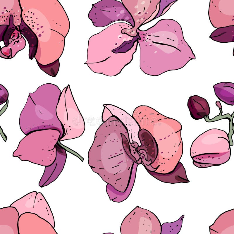 Seamless Pattern with Orchids. Stock Vector - Illustration of pink ...
