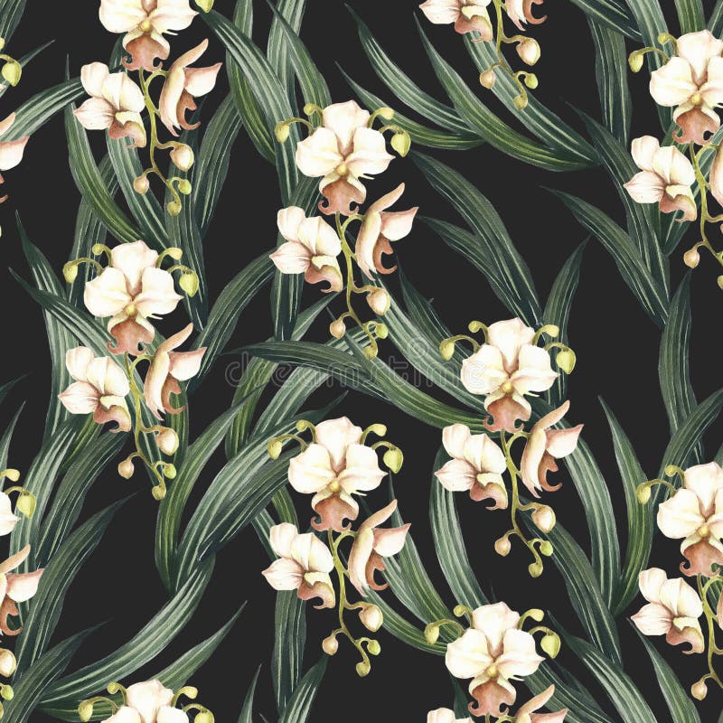 Seamless Pattern with Orchids. Hand Draw Watercolor Illustration Stock ...