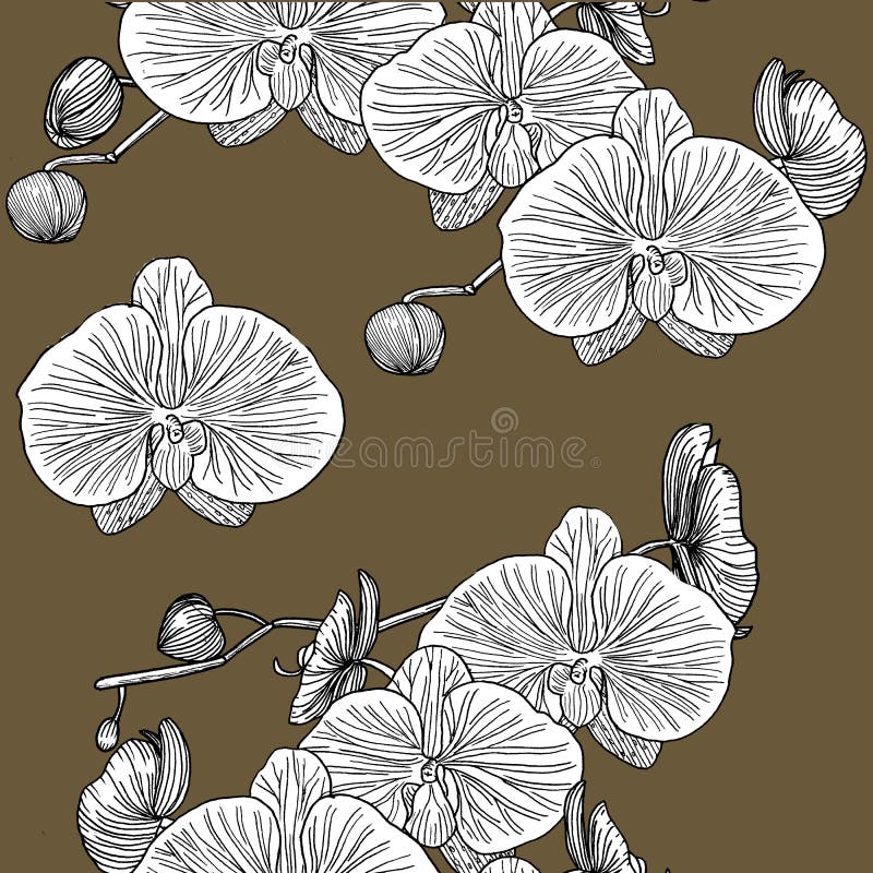 Seamless Pattern with Orchids. Hand Drawn Stock Illustration ...