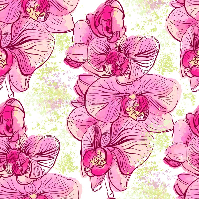 Seamless Pattern With Orchids Stock Vector Illustration Of Hawaiian