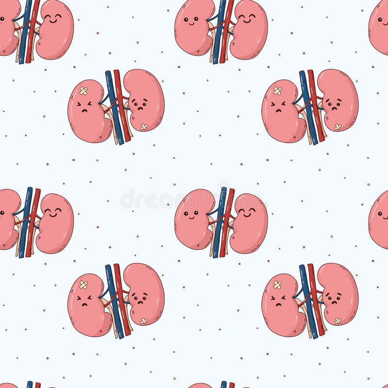 Vector Seamless Pattern with Kidneys in Cartoon Style Stock Vector ...