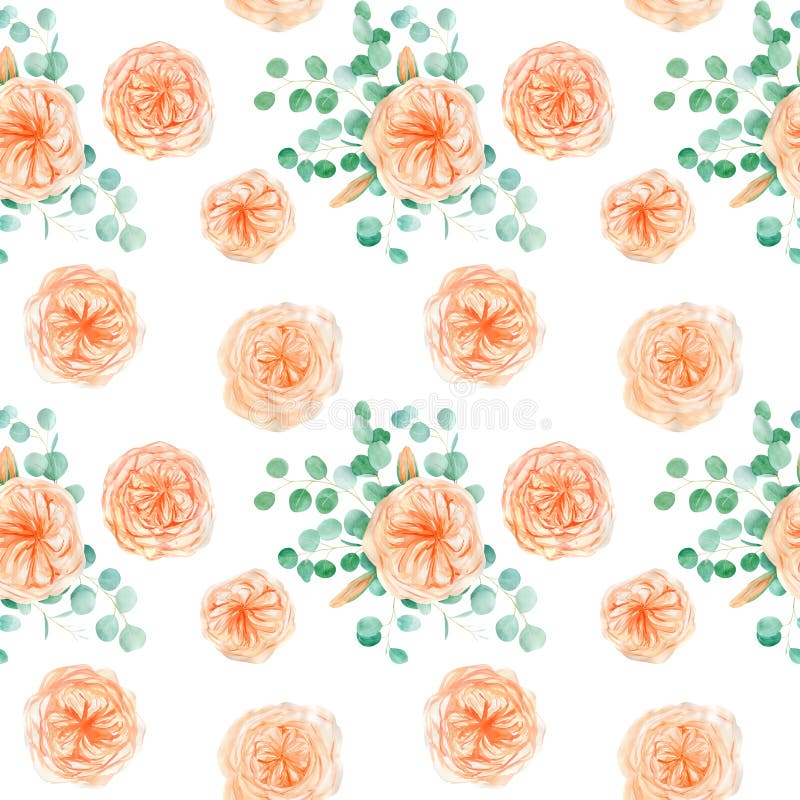 Seamless Pattern with Peach and Orange with English Rose Austin Flower ...