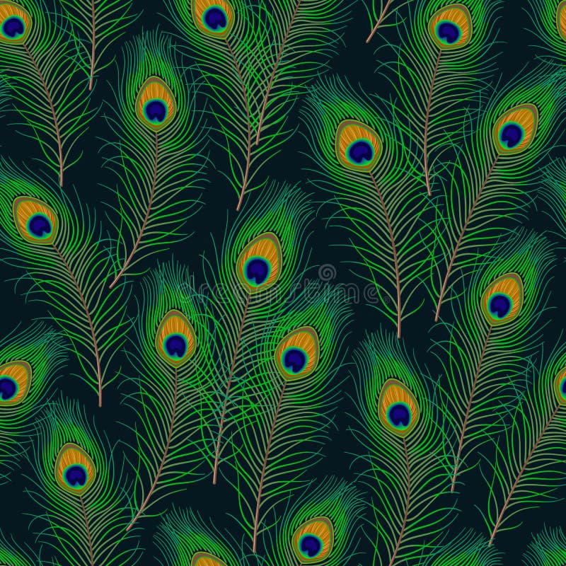 Seamless Pattern With Peacock Feathers On A Dark Background Stock Vector Illustration Of