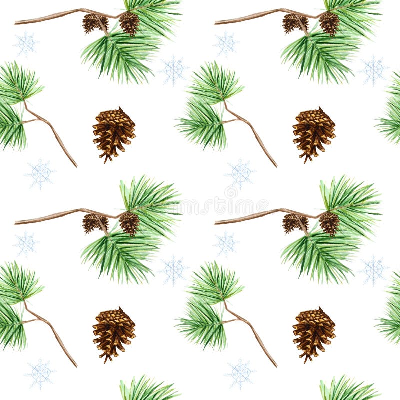 Seamless Pattern of Pine Branches and Cones, Needles on White ...