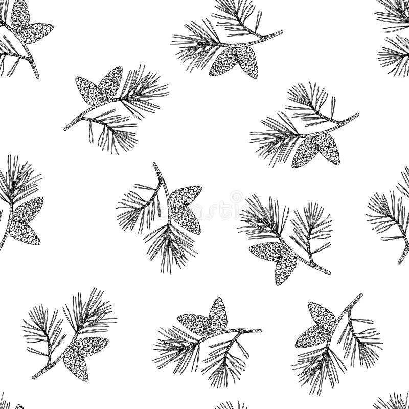 Conifer Sketches Stock Illustrations – 162 Conifer Sketches Stock ...