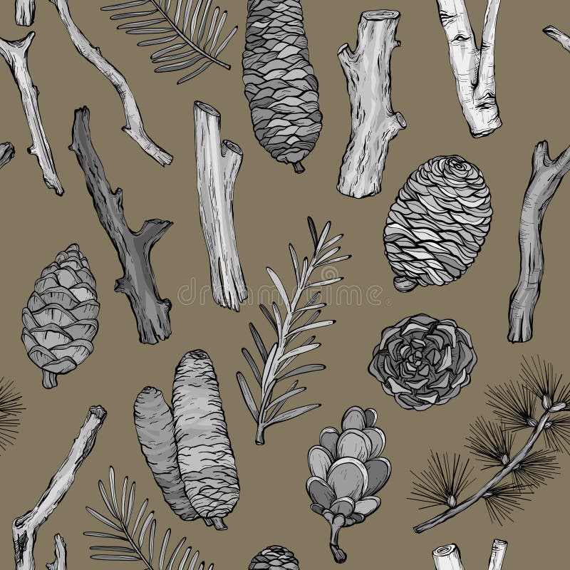 Seamless Pattern with Pine Cones, Forest Twigs and Sticks Stock Vector ...