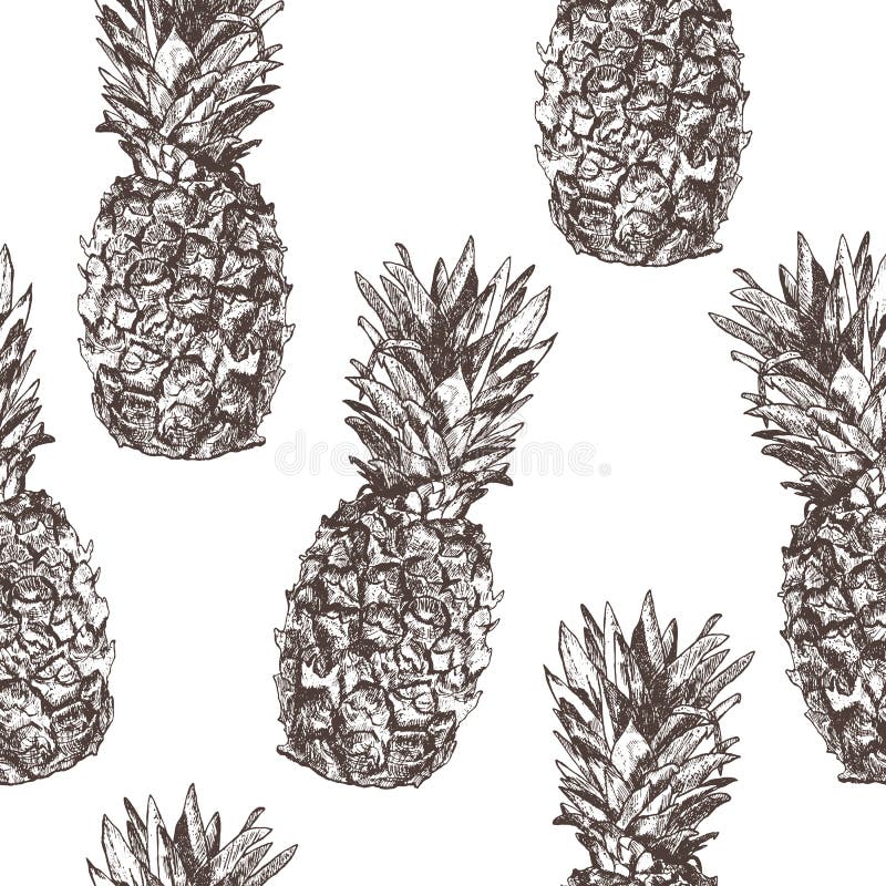Seamless Pattern with Pineapple Hand Drawn in Sketch Style. Vect Stock ...