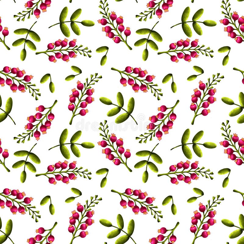 Seamless Pattern of Pink Berries Branch with Leaves Stock Illustration ...