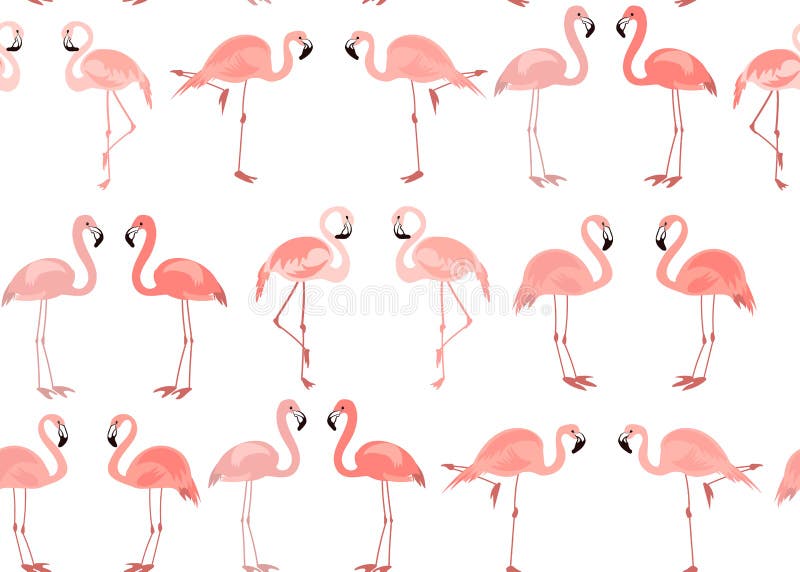 Seamless Pattern with Pink Flamingo Stock Vector - Illustration of ...
