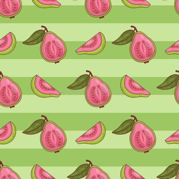 Seamless Pattern Pink Guava Fruit on Green Stripe Background. Vector ...