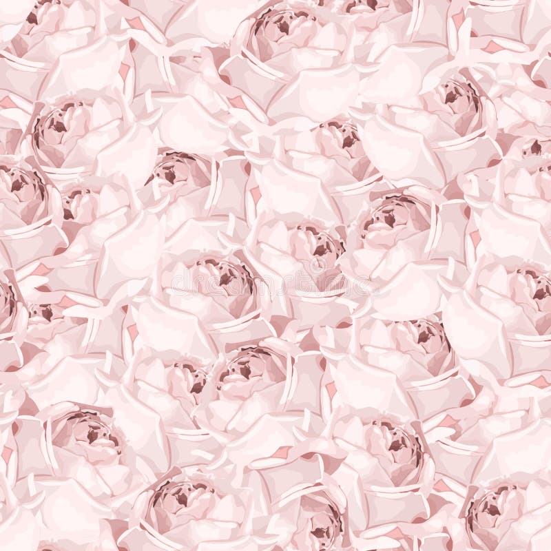 Seamless Pattern with Pink Roses Stock Vector - Illustration of print ...