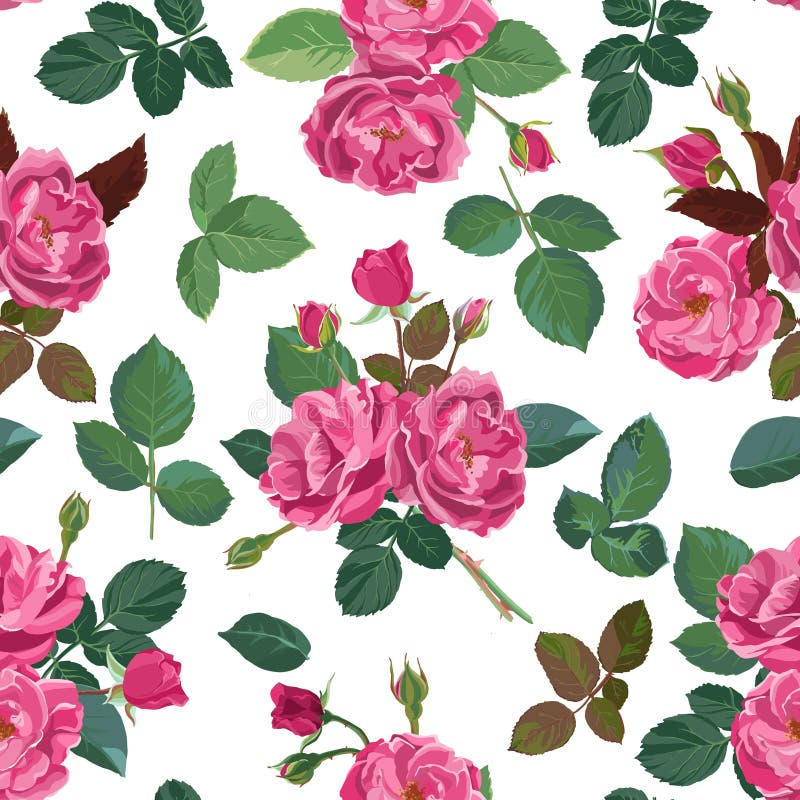 Seamless Pattern of Pink Roses Stock Vector - Illustration of wedding ...