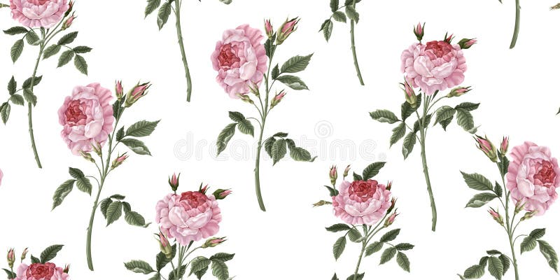 Seamless Pattern with Pink Vintage Roses. Vector. Stock Vector ...