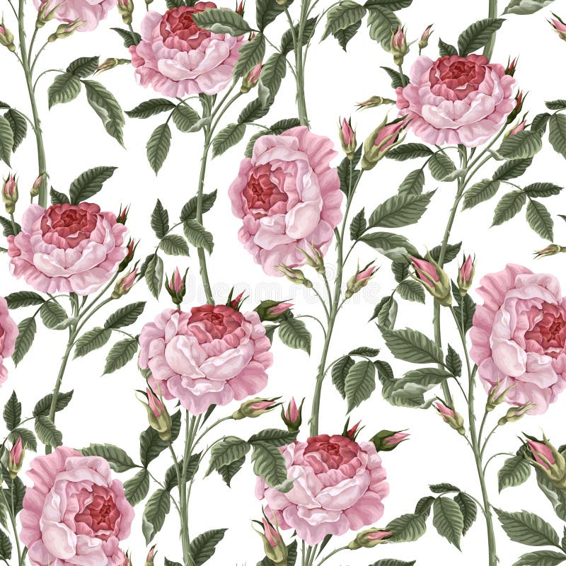 Seamless Pattern with Pink Vintage Roses. Vector. Stock Vector ...
