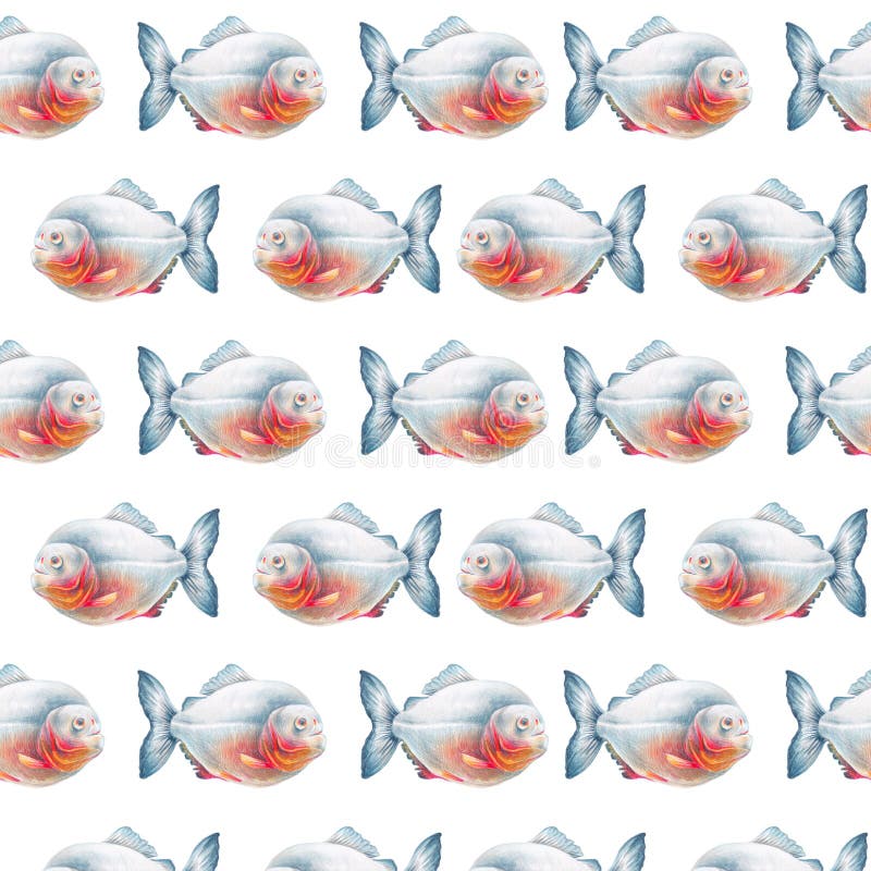 Seamless Pattern, Piranha Gray-orange-red Tones, Drawing with Colored ...