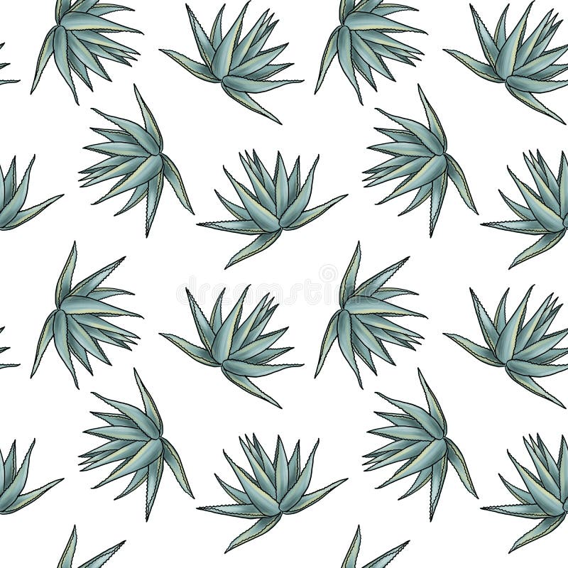 Seamless Pattern with Plant of Agave Stock Illustration - Illustration ...