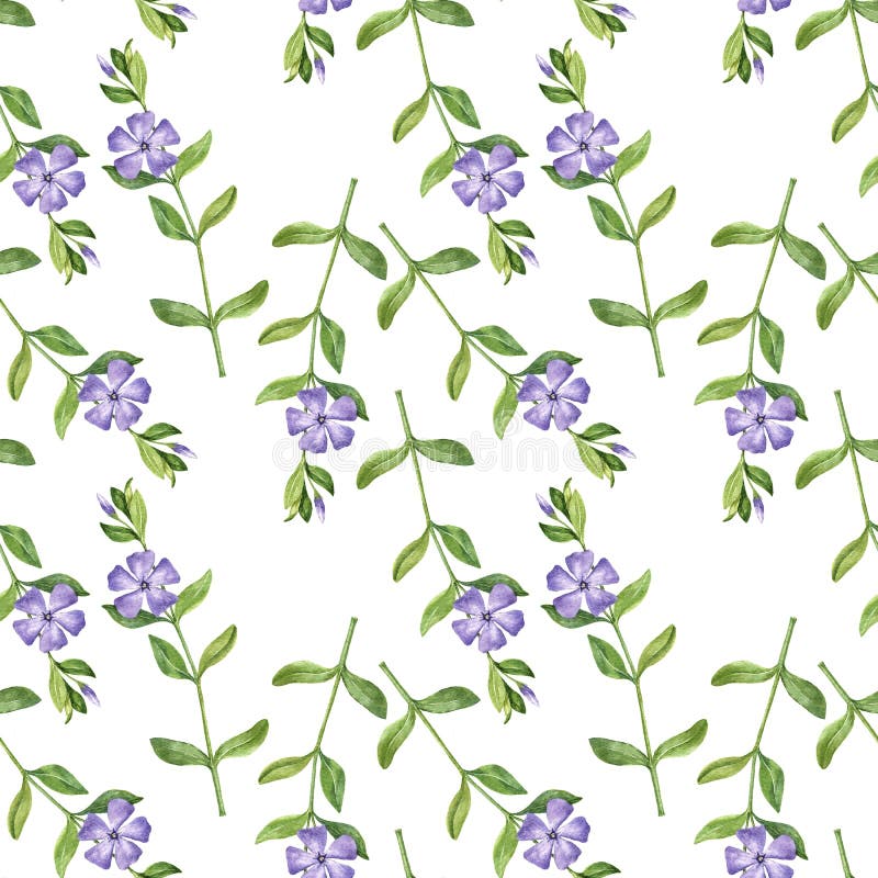 Periwinkle Background Stock Illustrations – 2,484 Periwinkle Background ...