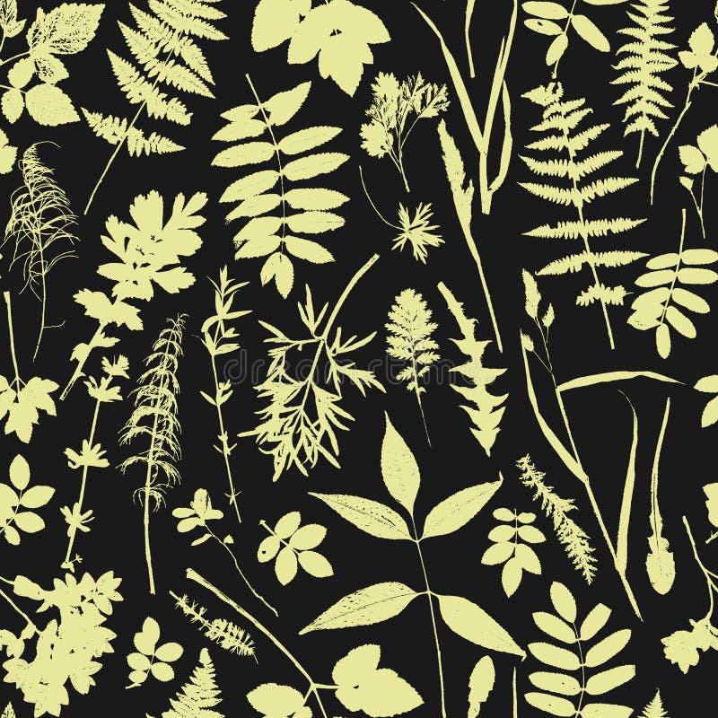 Seamless Pattern with Plants and Leaves Stock Vector - Illustration of ...