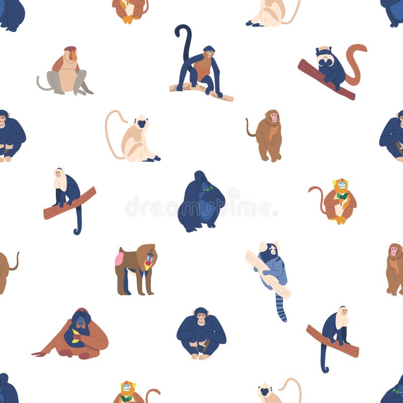 Apes Spices Stock Illustrations – 2 Apes Spices Stock Illustrations ...