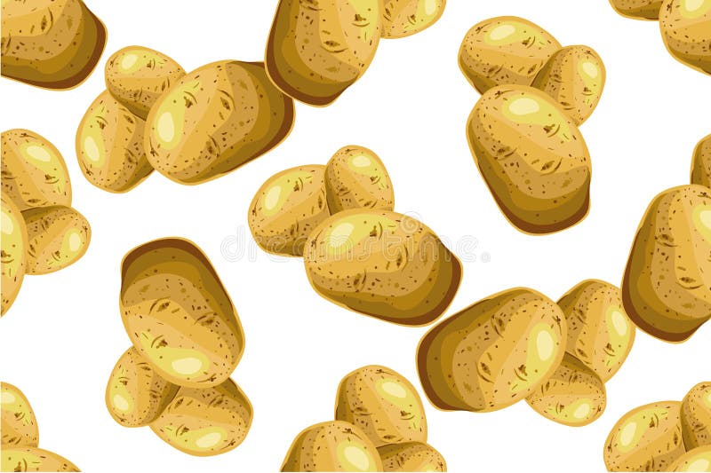 Seamless Pattern Potatoes. Vector Hand-drawn Illustration Stock Vector ...