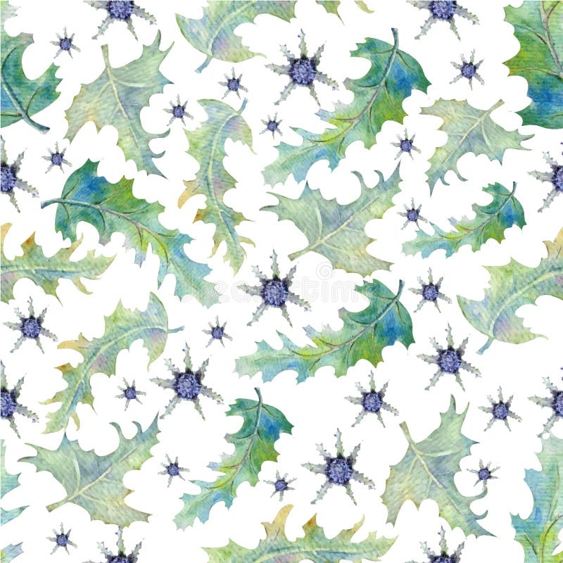 Thistle with Leaves and Stems Stock Vector - Illustration of leaf ...