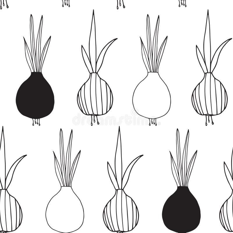 Seamless Pattern. Print with Graphic Onion Stock Vector - Illustration ...