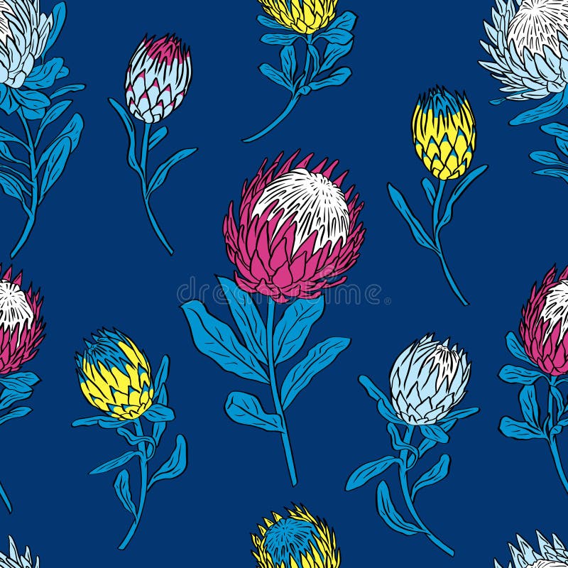 Seamless Pattern with Protea Flowers on Blue Background Stock Vector ...