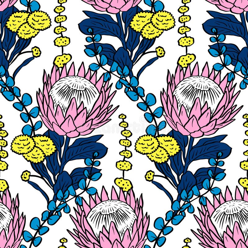 Seamless Pattern with Protea Flowers on White Background Stock ...