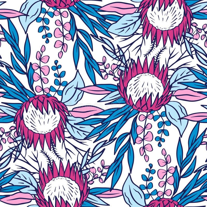 Seamless Pattern with Protea Flowers on White Background Stock ...
