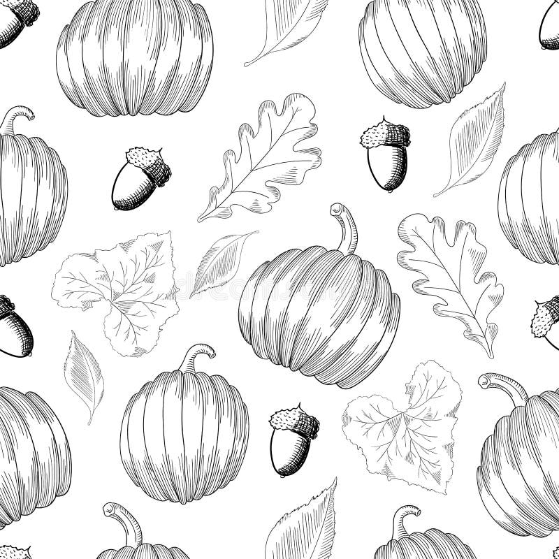 Acorns Sketch Stock Illustrations – 985 Acorns Sketch Stock ...