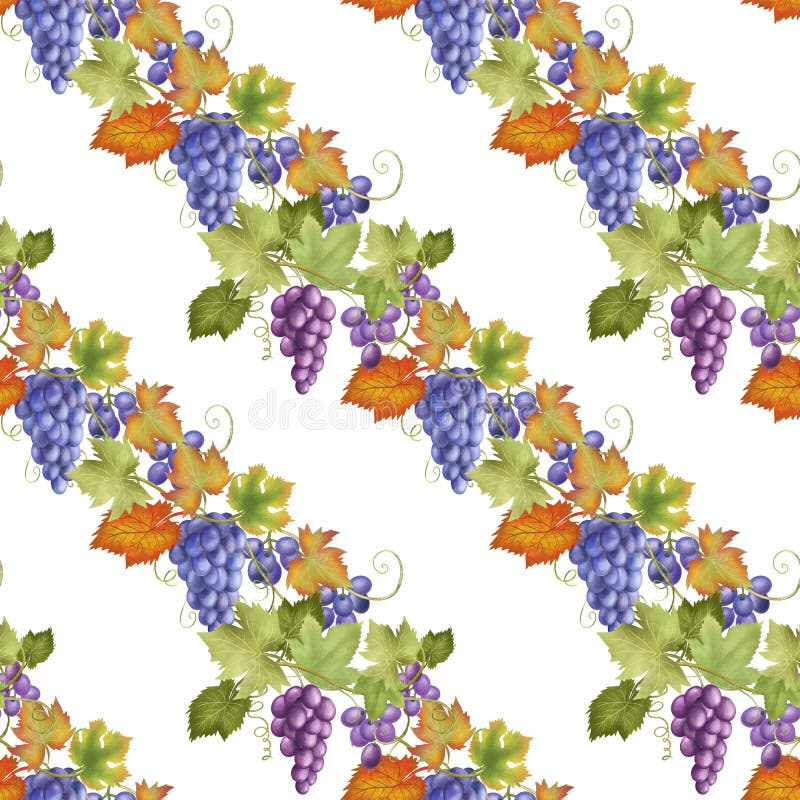 Hand Painted Vines Stock Illustrations – 158 Hand Painted Vines Stock ...