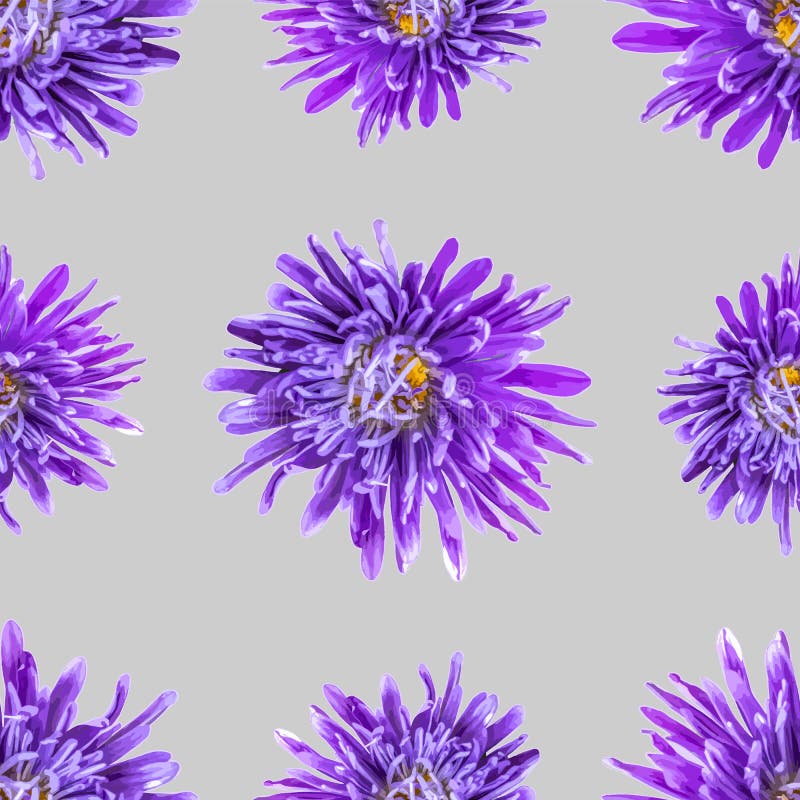 Seamless Pattern of Purple Flowers Asters. Vector Stock Illustration Eps10. Stock Vector ...