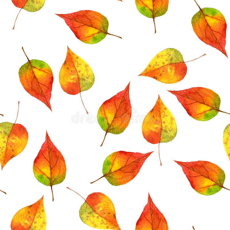 Seamless Pattern with Rainbow Autumn Leaves Stock Illustration ...