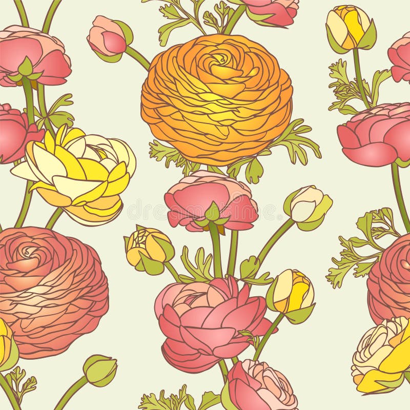 Seamless Pattern - Ranunculus Stock Vector - Illustration of pattern ...