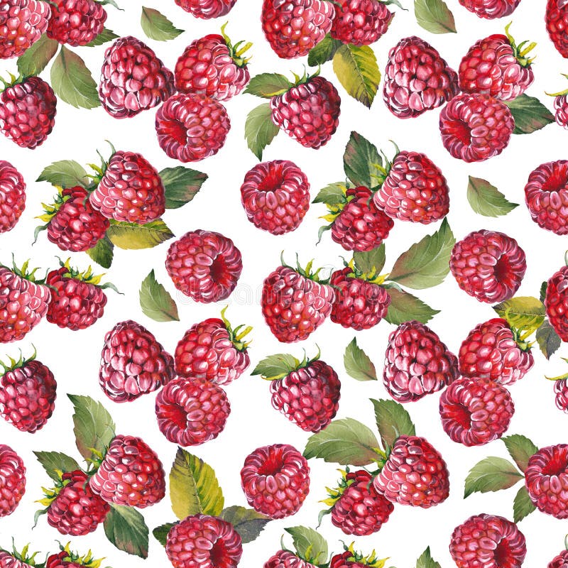 Seamless Pattern with Raspberries and Leaves. Stock Illustration ...