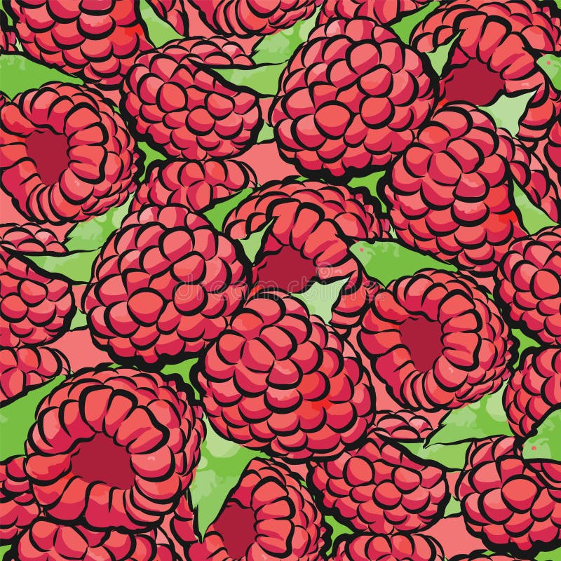 Seamless Pattern of Raspberries Stock Vector - Illustration of organic ...