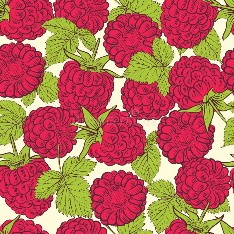 Seamless Pattern with Raspberries. Stock Vector - Illustration of ...