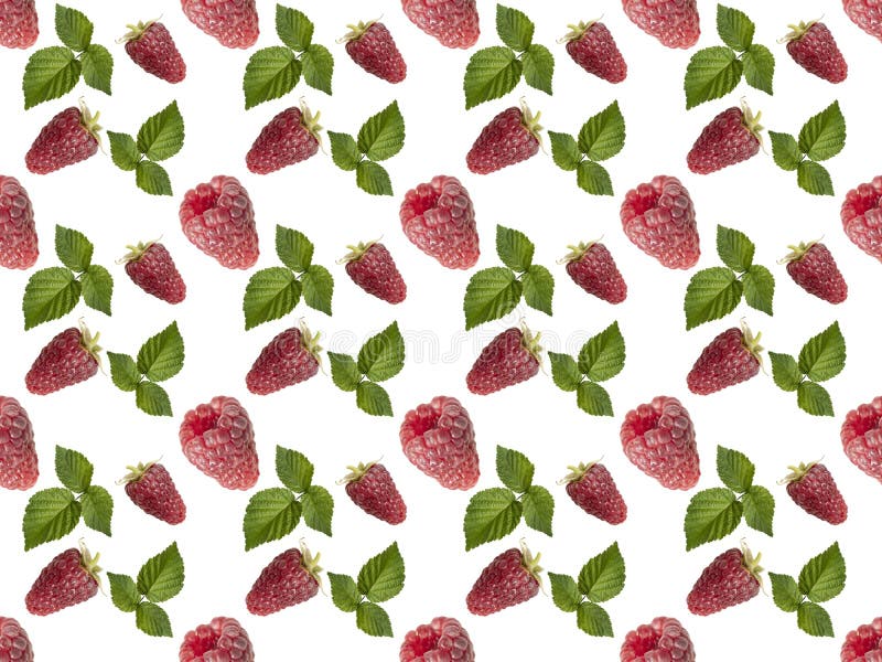 Seamless Pattern with Raspberries on a White Background. Simple Drawing ...