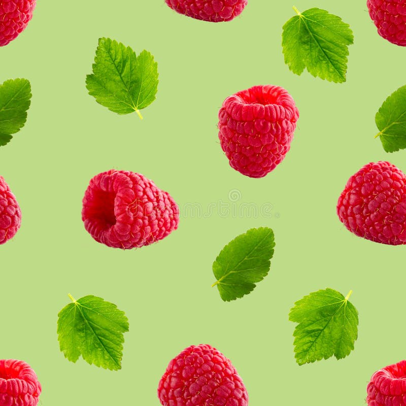 Seamless Pattern with Raspberry. Berries Abstract Background. Raspberry ...