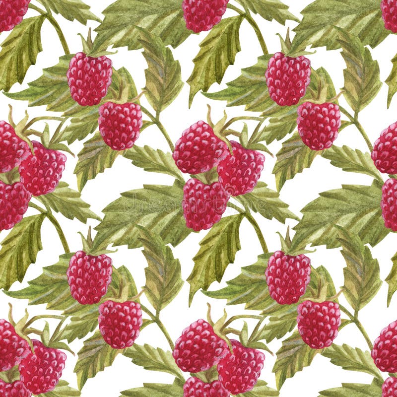 Raspberry Wallpaper Stock Illustrations – 6,461 Raspberry Wallpaper ...