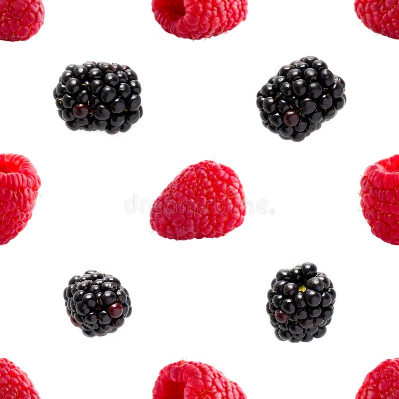 Seamless Pattern with Raspberry and Bramble. Pattern for Package Design ...