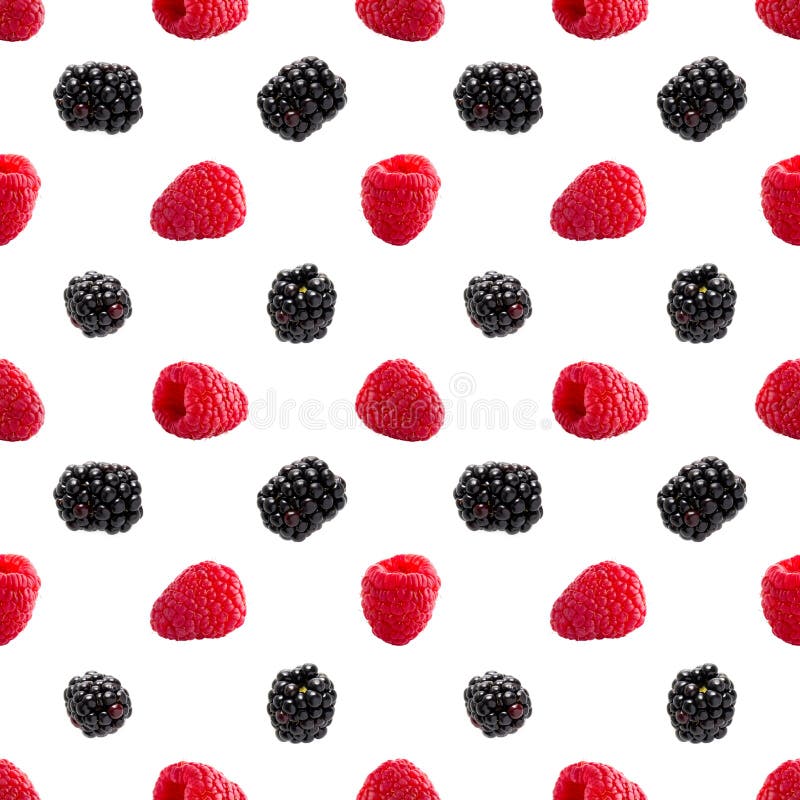 Seamless Pattern with Raspberry and Bramble. Pattern for Package Design ...